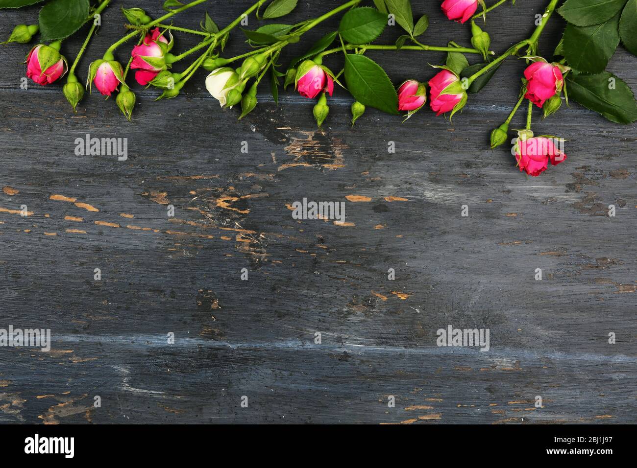 Pink tea roses on wooden background Stock Photo - Alamy