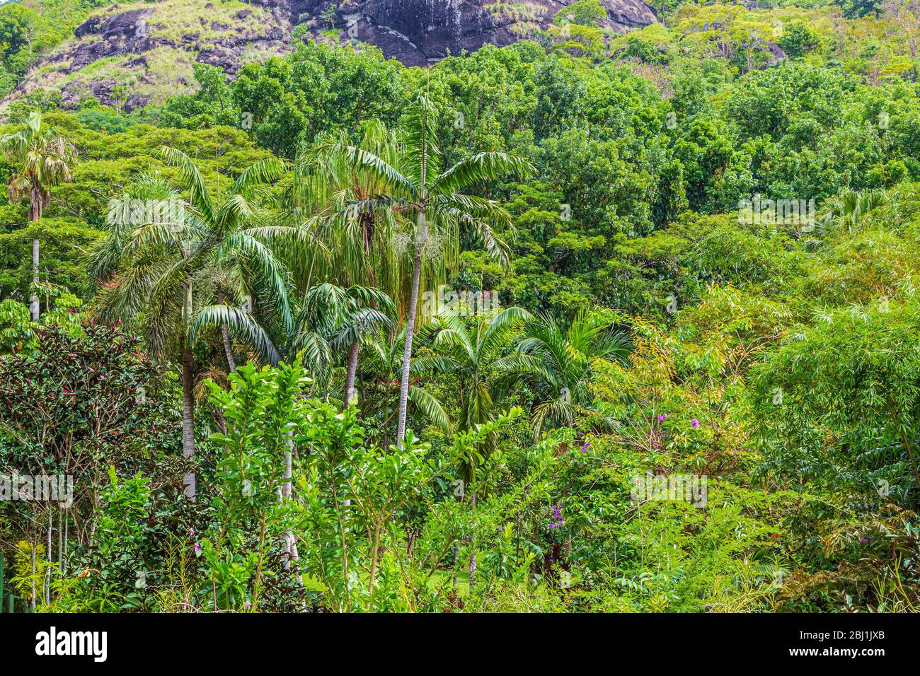Rocky hills covered in vegetation in the Fijian countryside Stock Photo ...