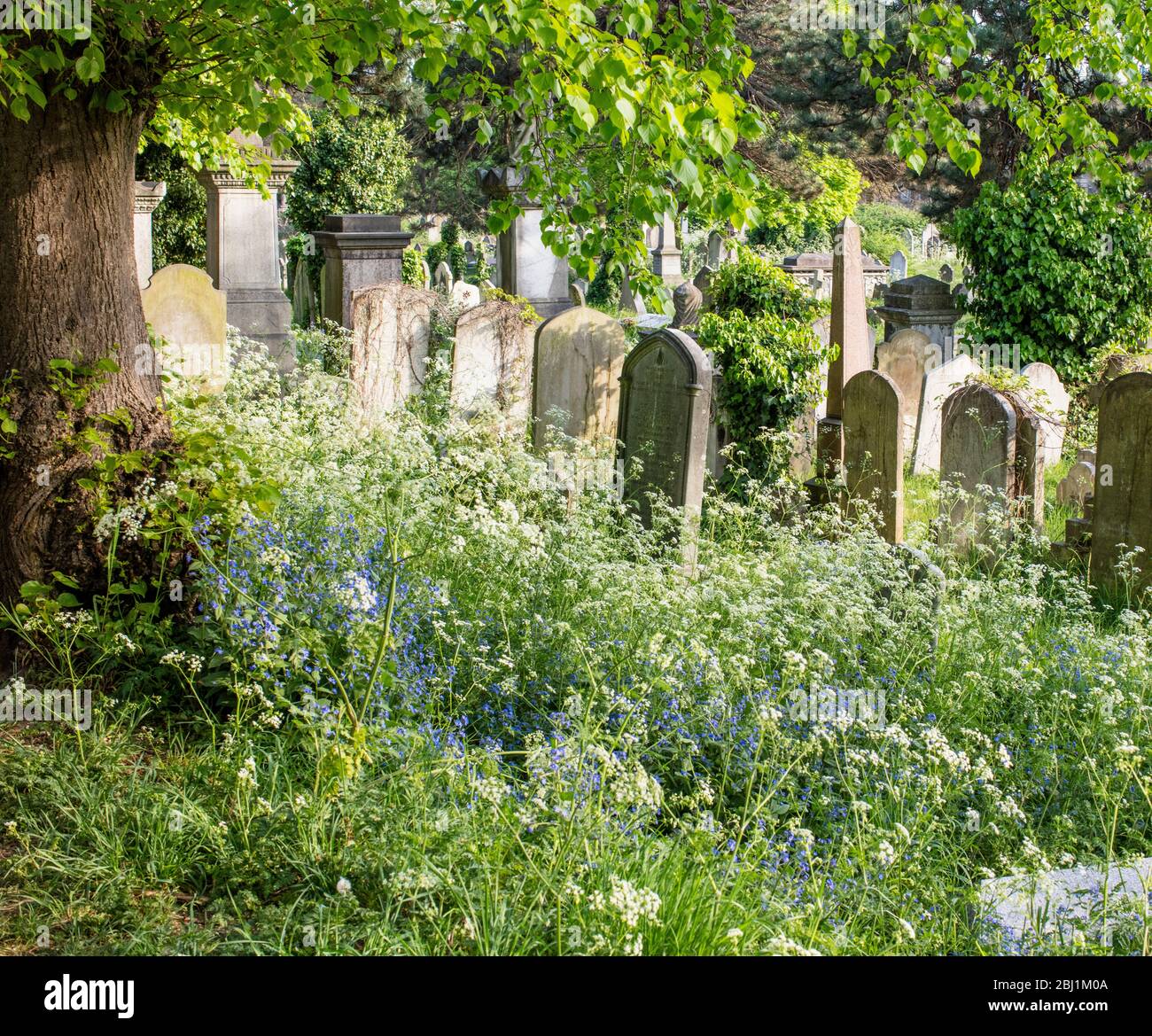 Brompton Cemetery, Kensington, London; one of the 'Magnificent Seven' cemeteries of London Stock ...