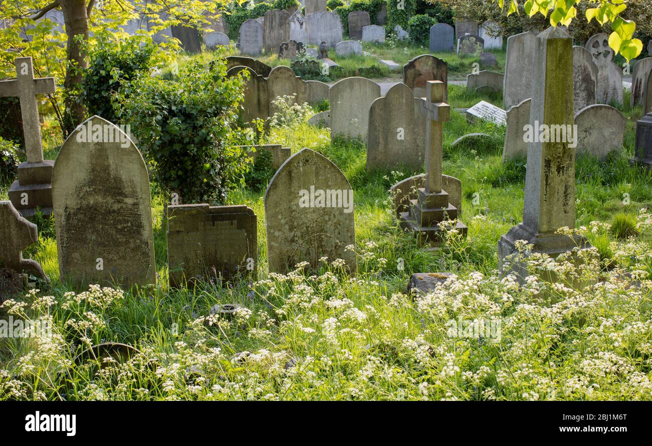 Brompton Cemetery, Kensington, London; one of the 'Magnificent Seven ...