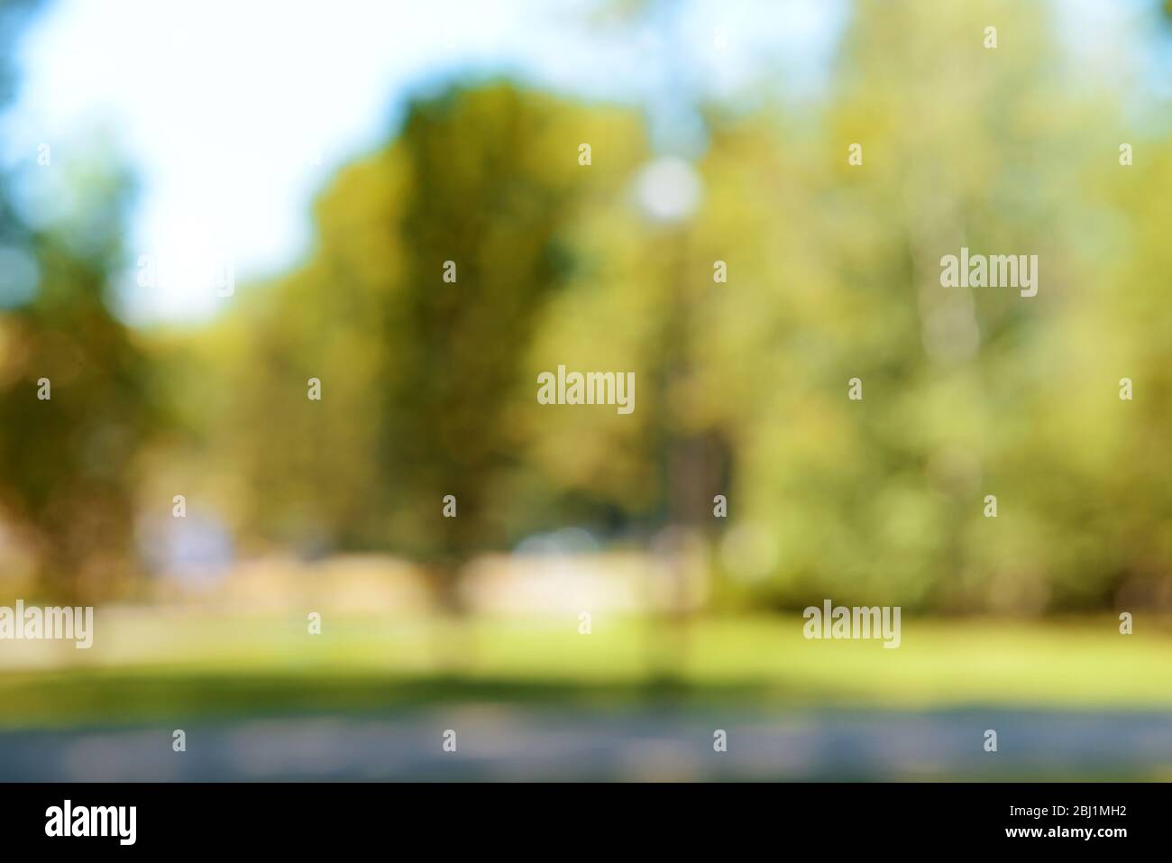 Blurred nature background Stock Photo - Alamy