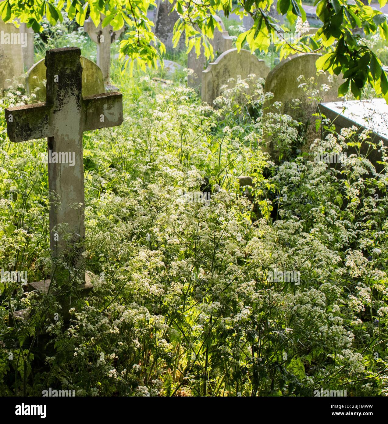 Brompton Cemetery, Kensington, London; one of the 'Magnificent Seven ...
