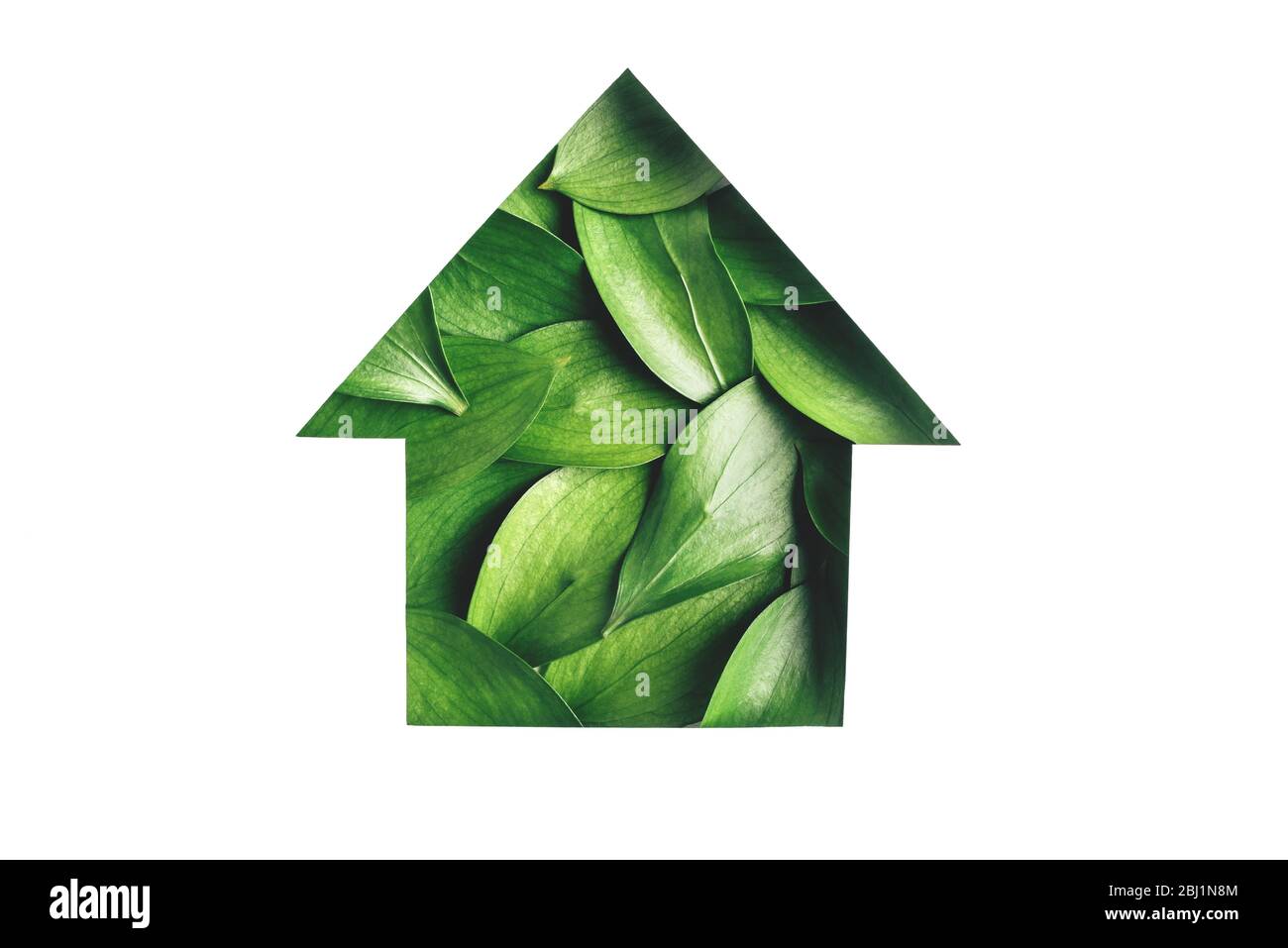 Fresh green leaves shaped in house isolated on white background Stock ...