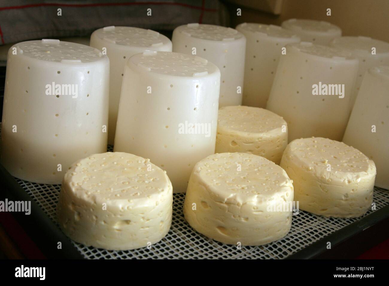 Home made farmhouse cheese Dorset UK Stock Photo - Alamy