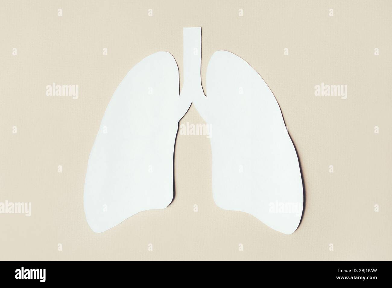 Lungs made paper on beige background Stock Photo - Alamy