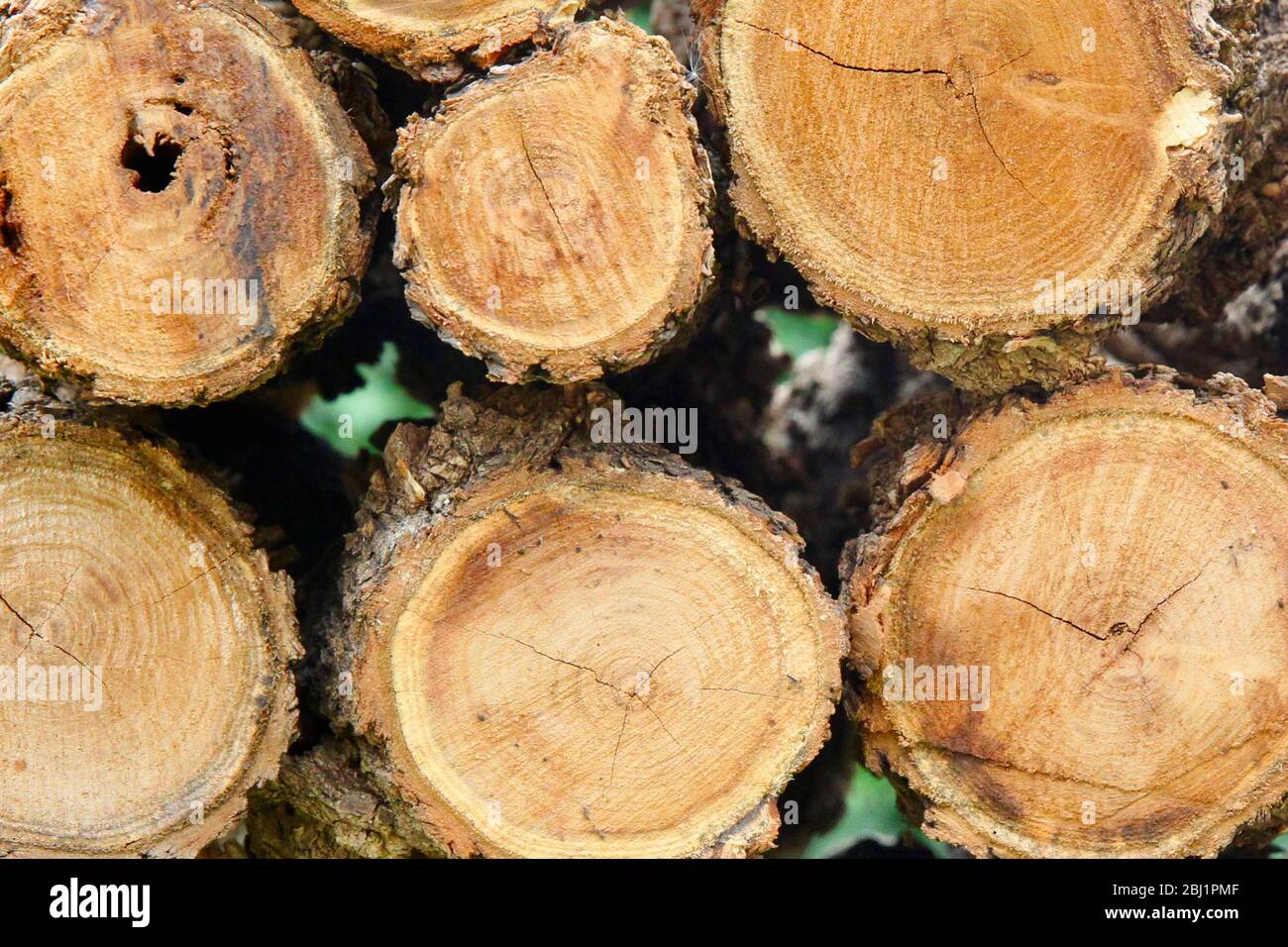 Image of burning logs hi-res stock photography and images - Alamy