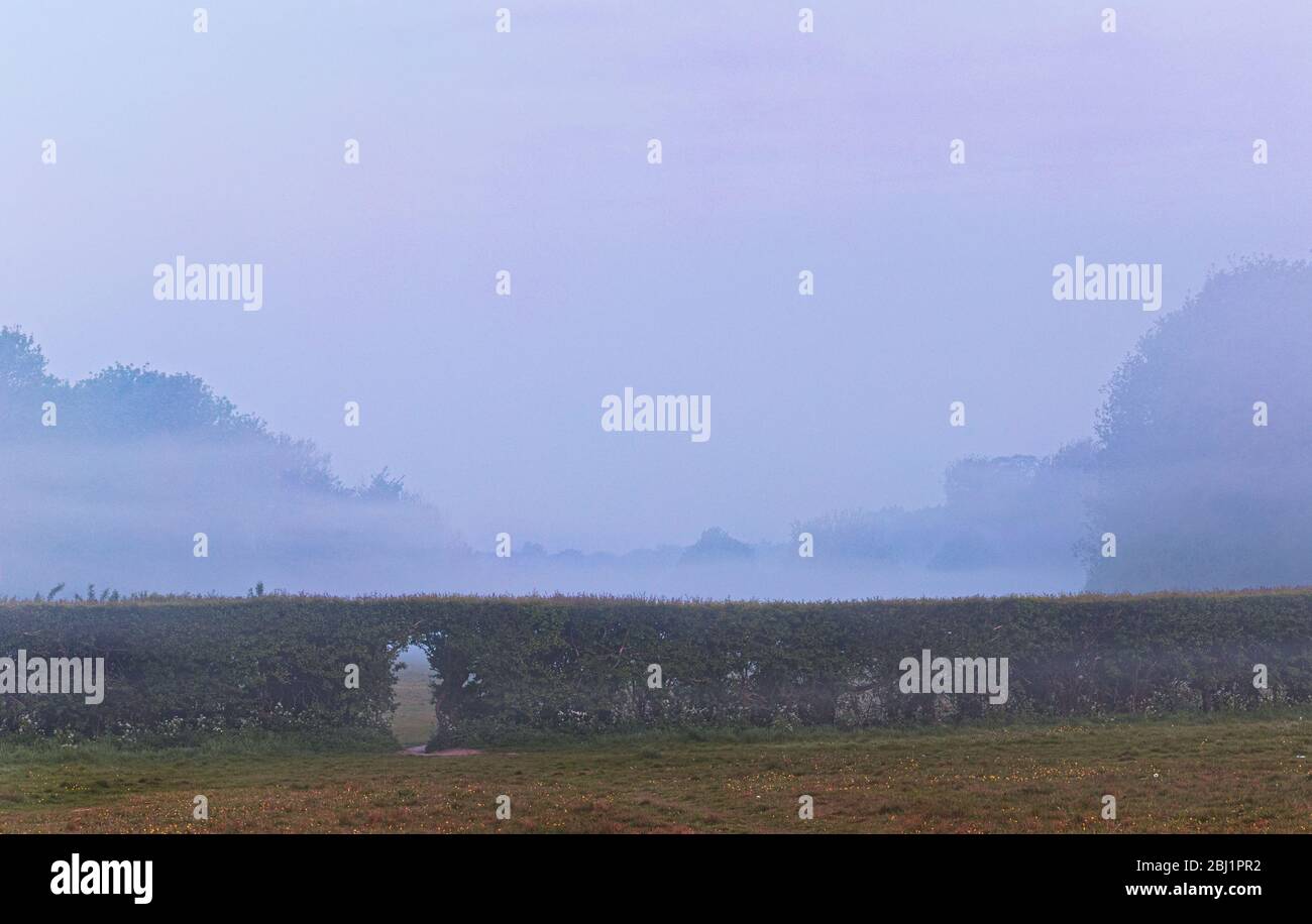 Spring mist dawn hi-res stock photography and images - Alamy