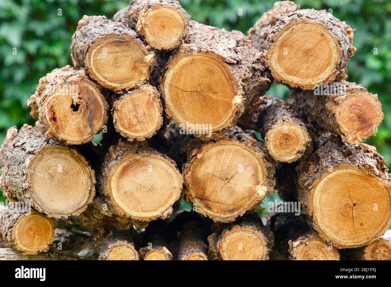 Log wallpaper hi-res stock photography and images - Alamy