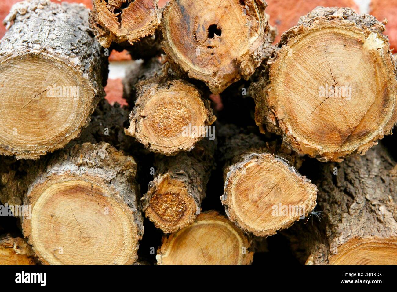 Image of burning logs hi-res stock photography and images - Alamy