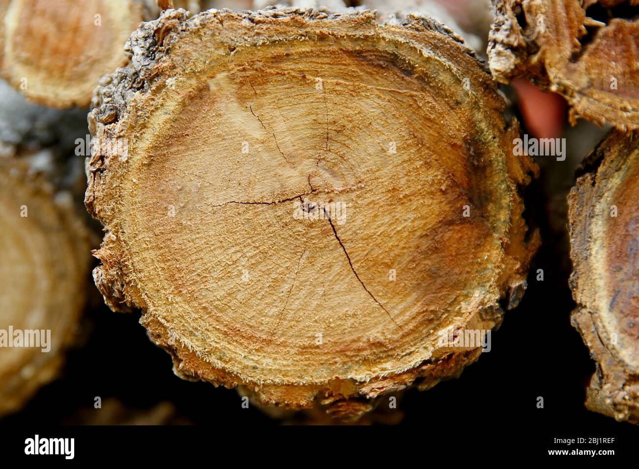Image of burning logs hi-res stock photography and images - Alamy