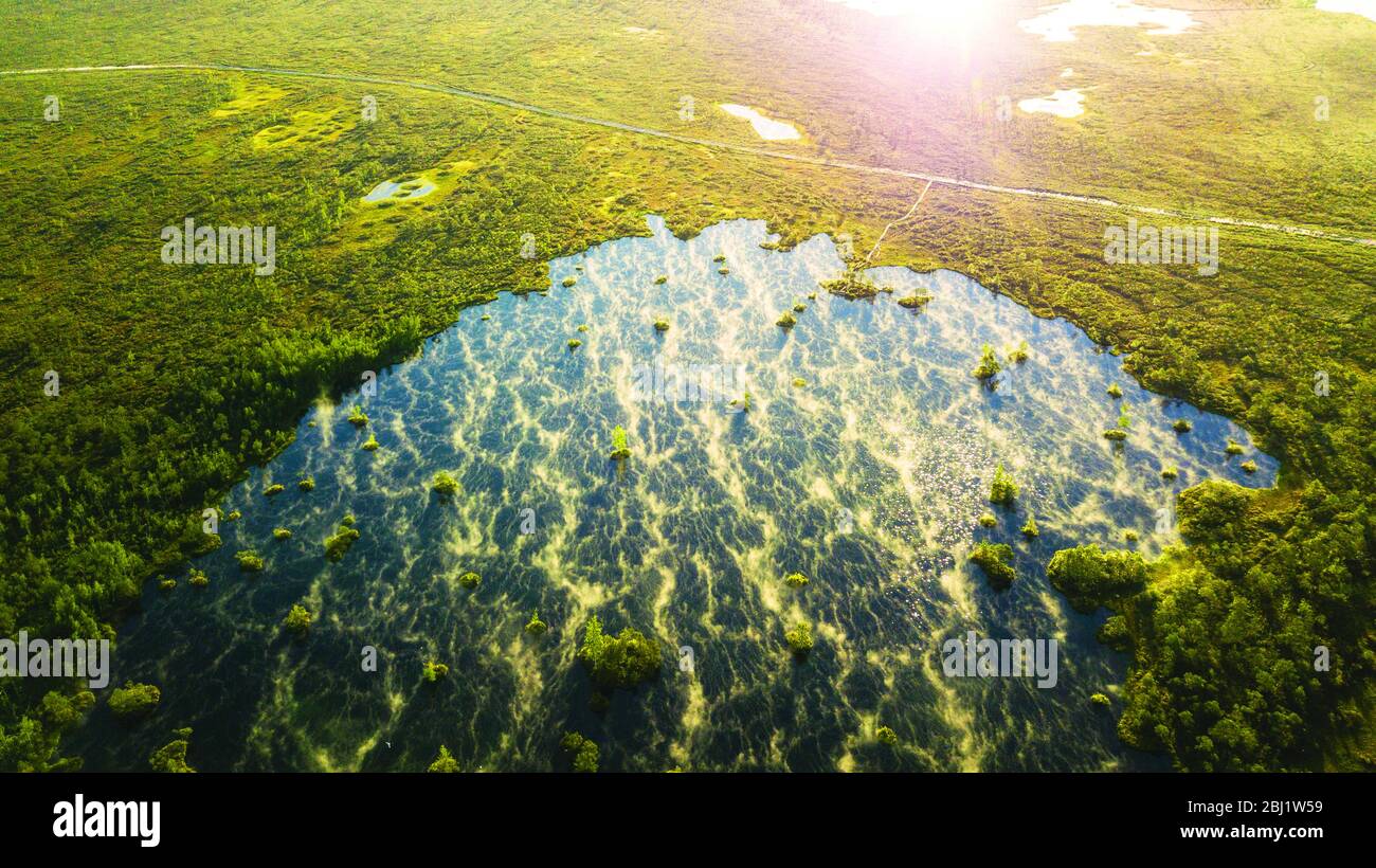 Swamp High Resolution Stock Photography and Images - Alamy