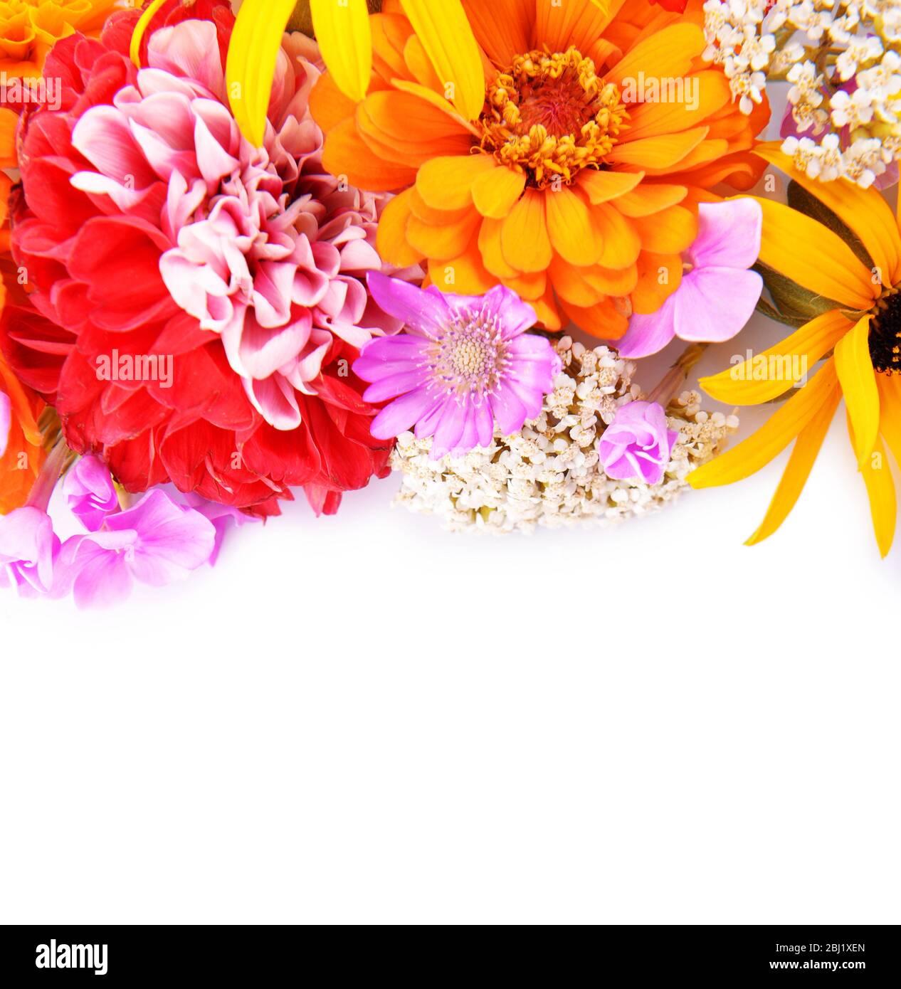 Fresh colorful flowers isolated on white Stock Photo - Alamy