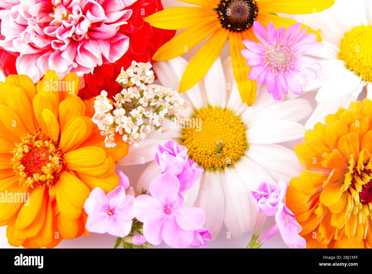Fresh colorful flowers background Stock Photo - Alamy