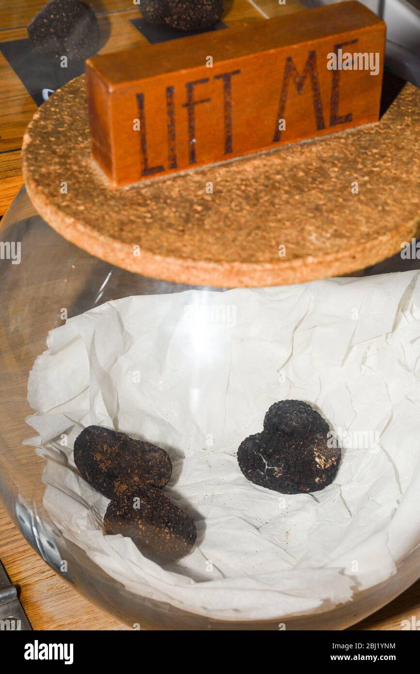 A truffle is the fruiting body of a subterranean ascomycete fungus ...