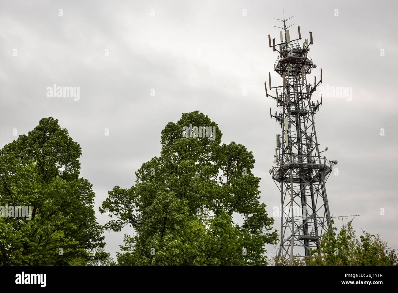 Mobile antenna trees hi-res stock photography and images - Alamy