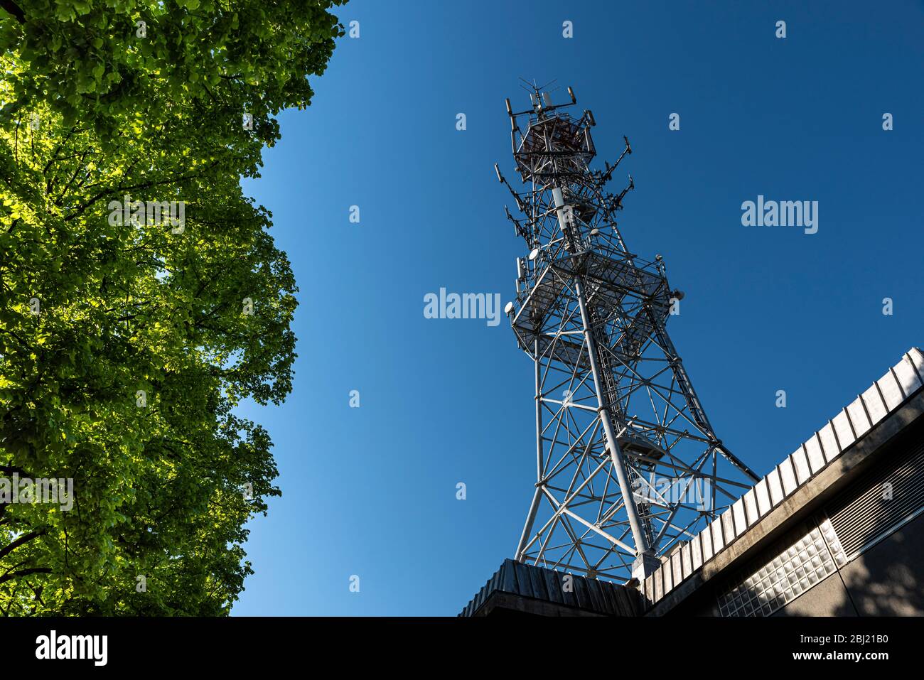 Mobile antenna trees hi-res stock photography and images - Alamy