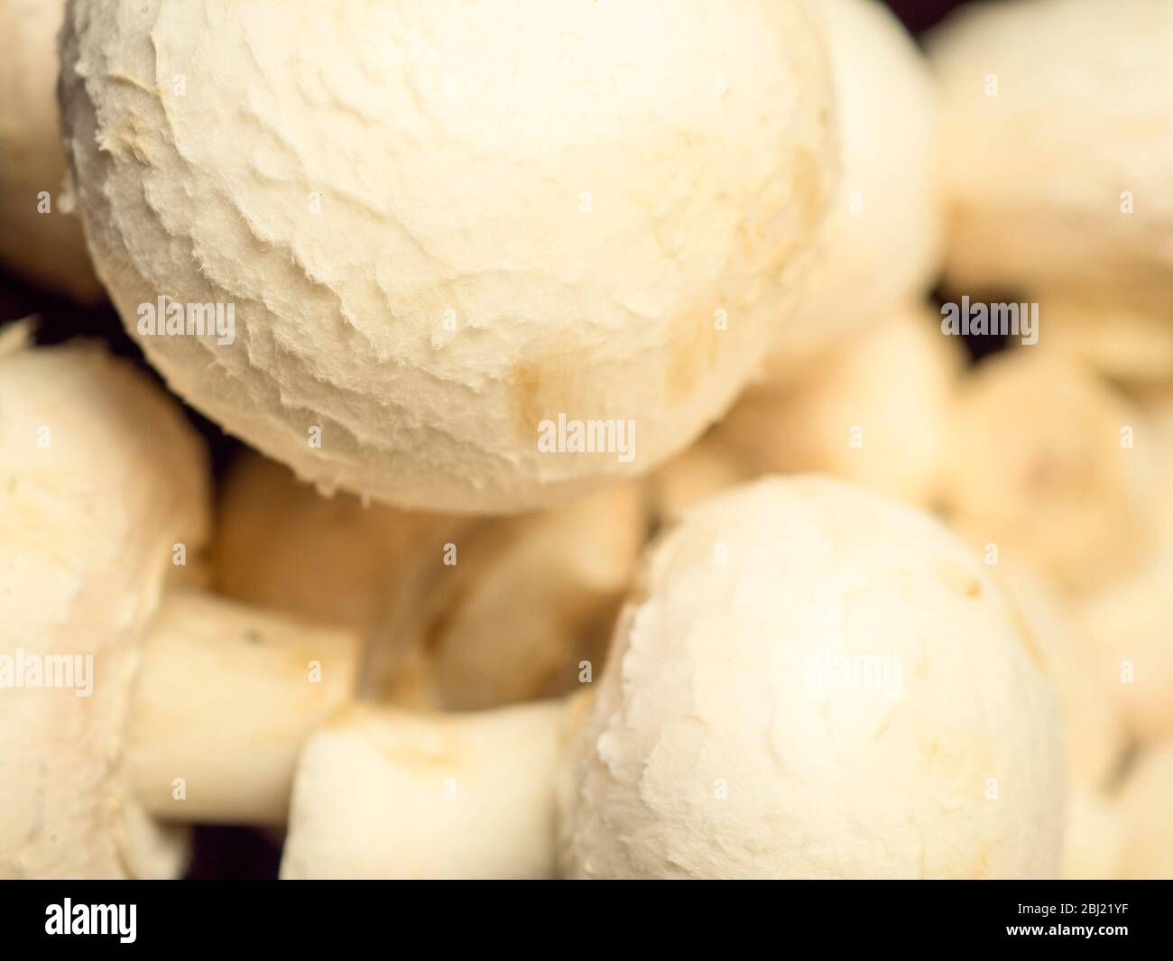 Source cup hi-res stock photography and images - Alamy