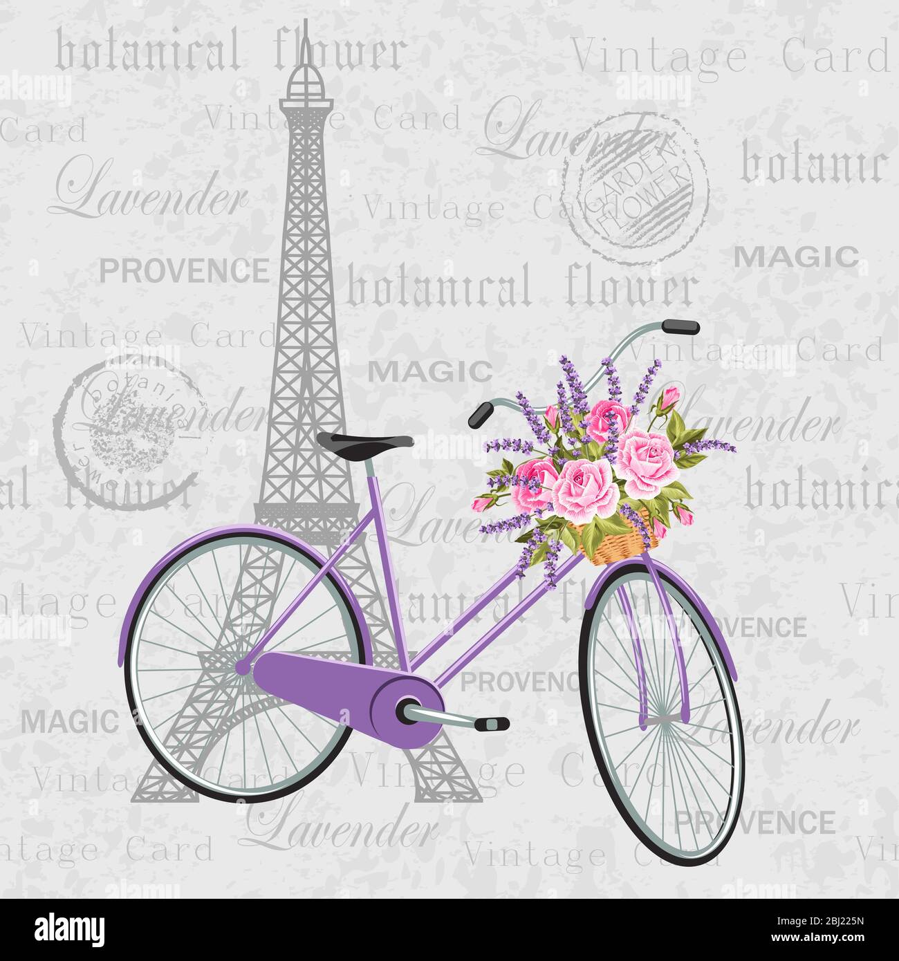 Violet bicycle with a basket full of flowers. Vintage postcard ...