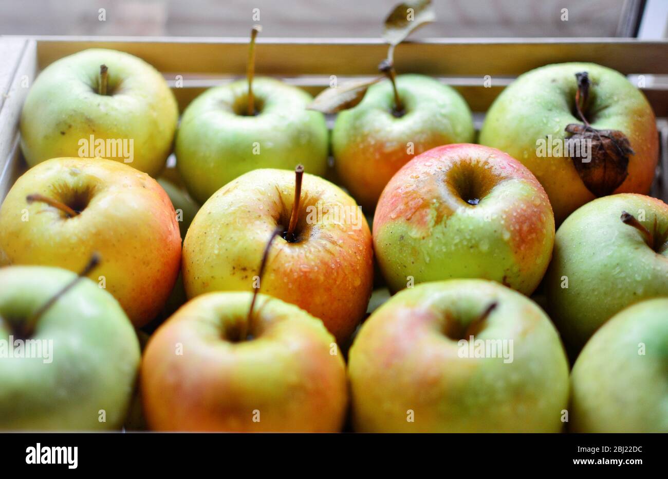 Red and green apples hi-res stock photography and images - Alamy