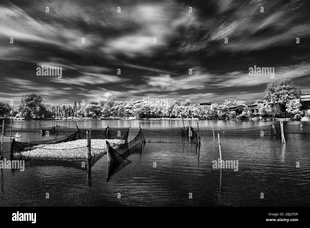 Fish Ponds Reflection at The Lake Stock Photo - Alamy