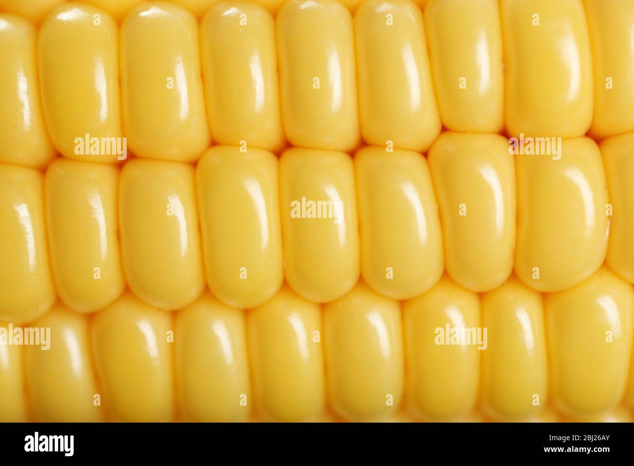 fresh corn close up Stock Photo - Alamy