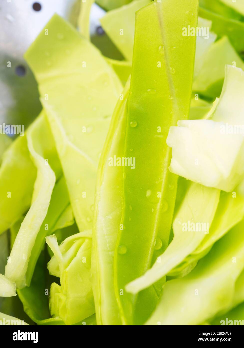 Washed fresh pointed cabbage slices in a stainless steel colander Stock ...