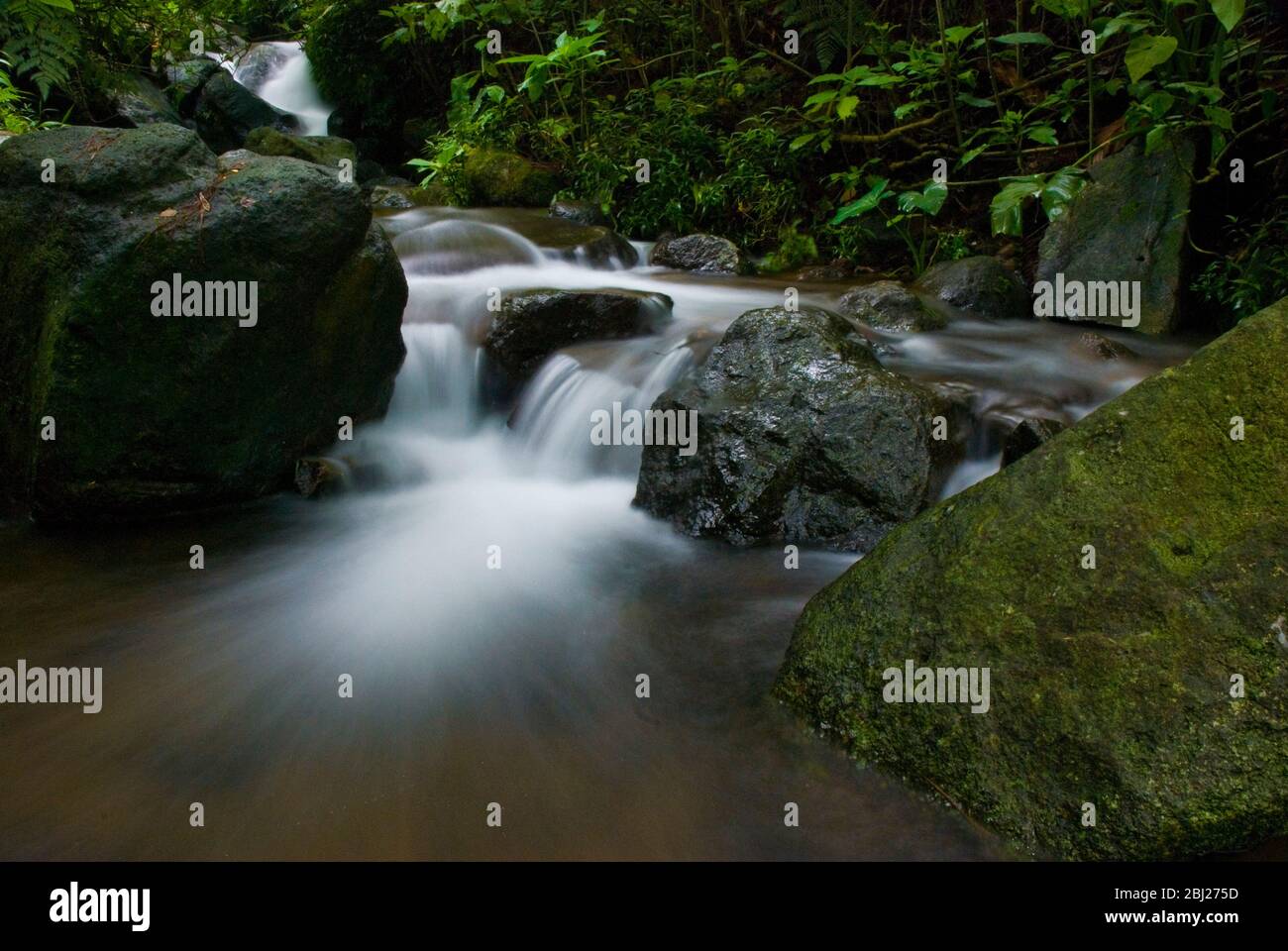 River water flow through the rocks Stock Photo - Alamy