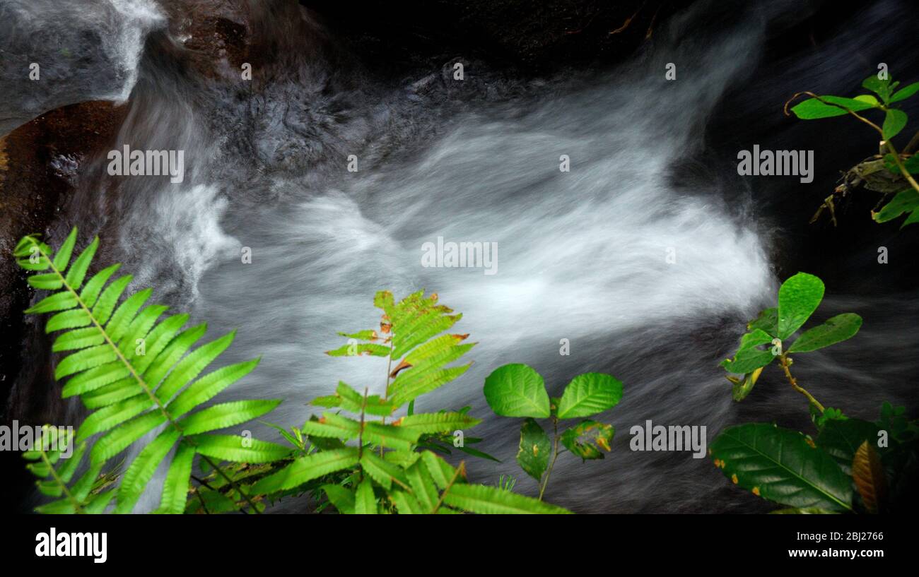River water flow through the rocks Stock Photo - Alamy