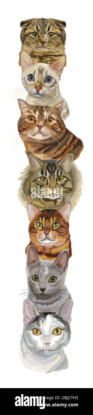 Vector vertical illustration with different cats breeds portraits ...