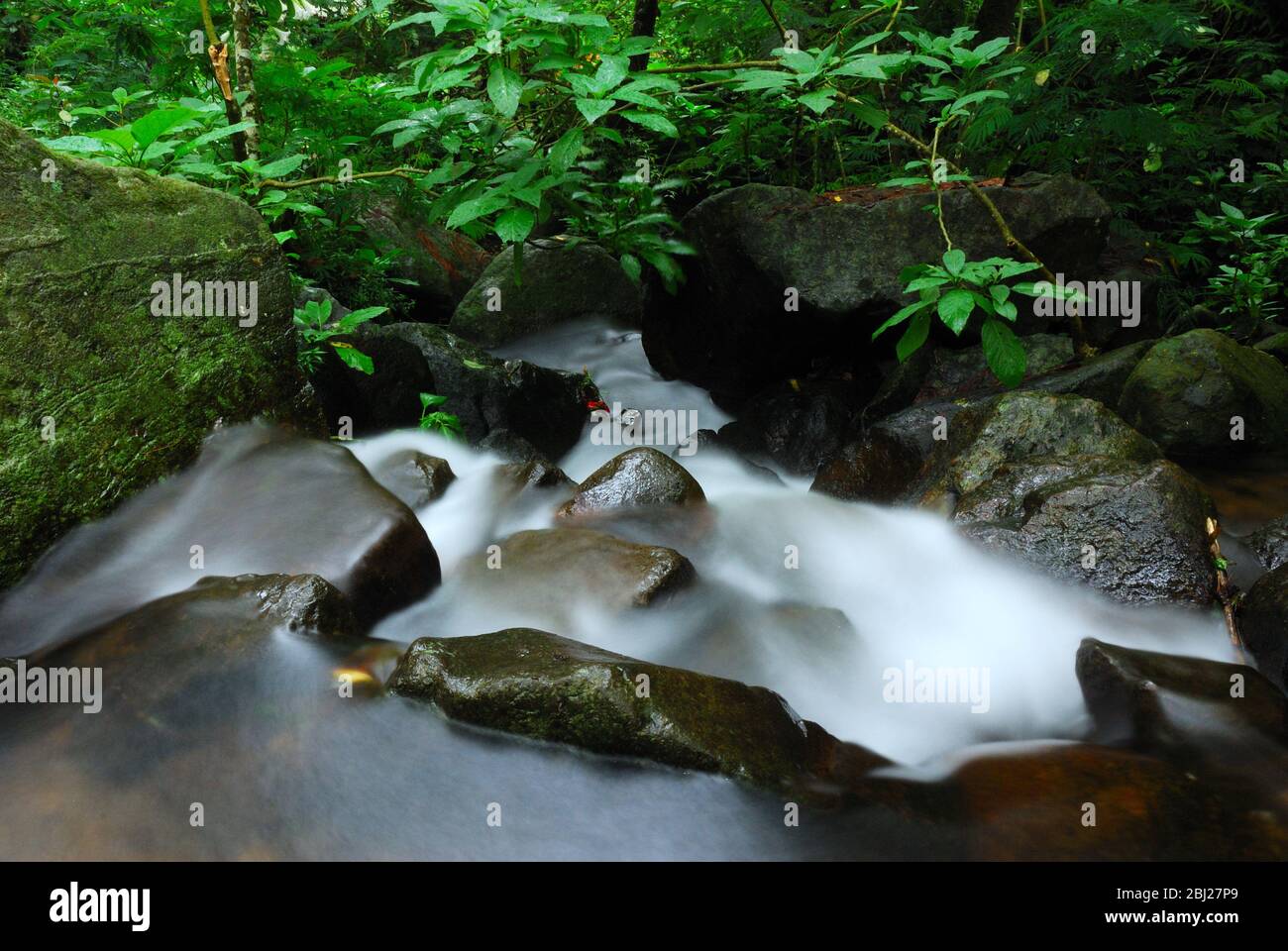 River water flow through the rocks Stock Photo - Alamy