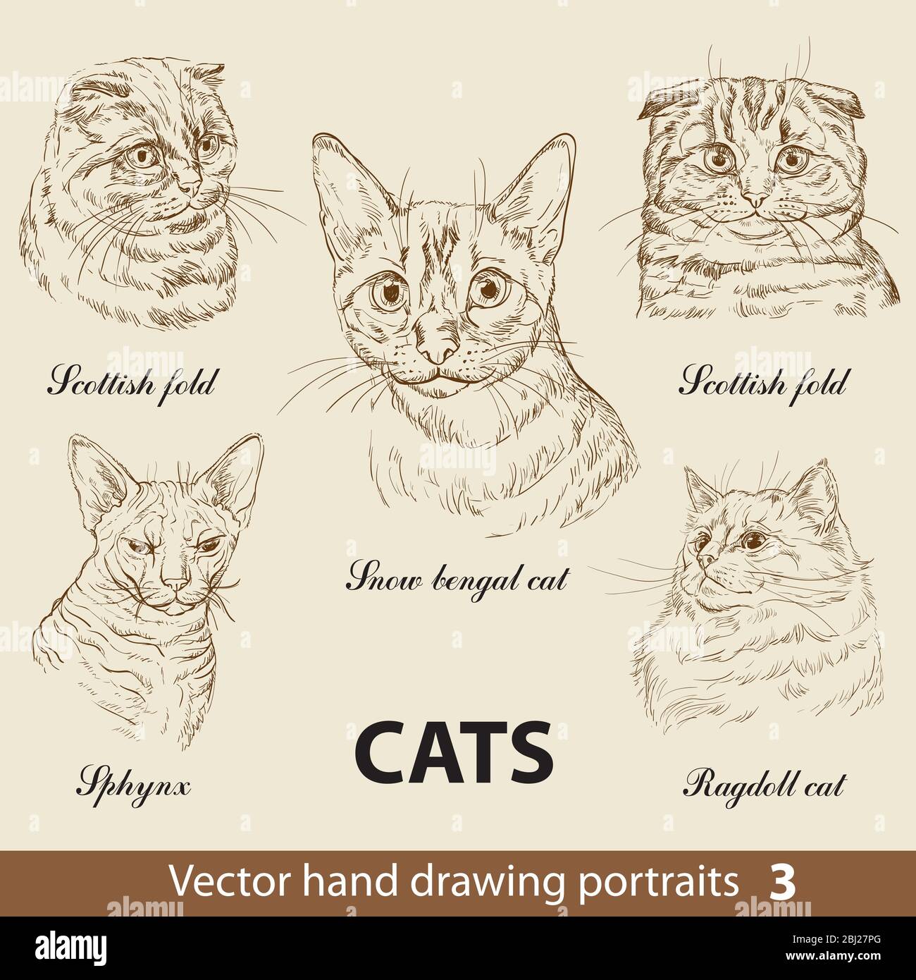 Heads cute cat characters Stock Vector Images - Alamy