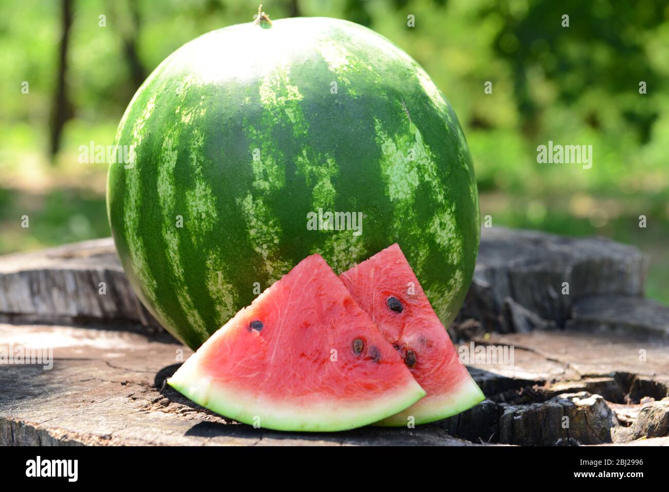 Fresh watermelon on stump hi-res stock photography and images - Alamy