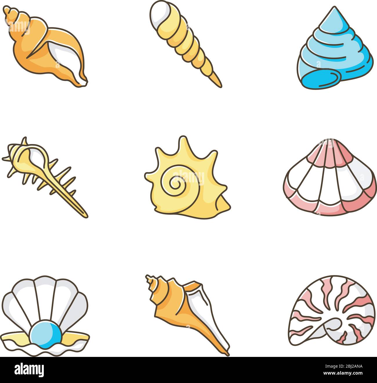 Sea shells RGB color icons set Stock Vector Image & Art - Alamy