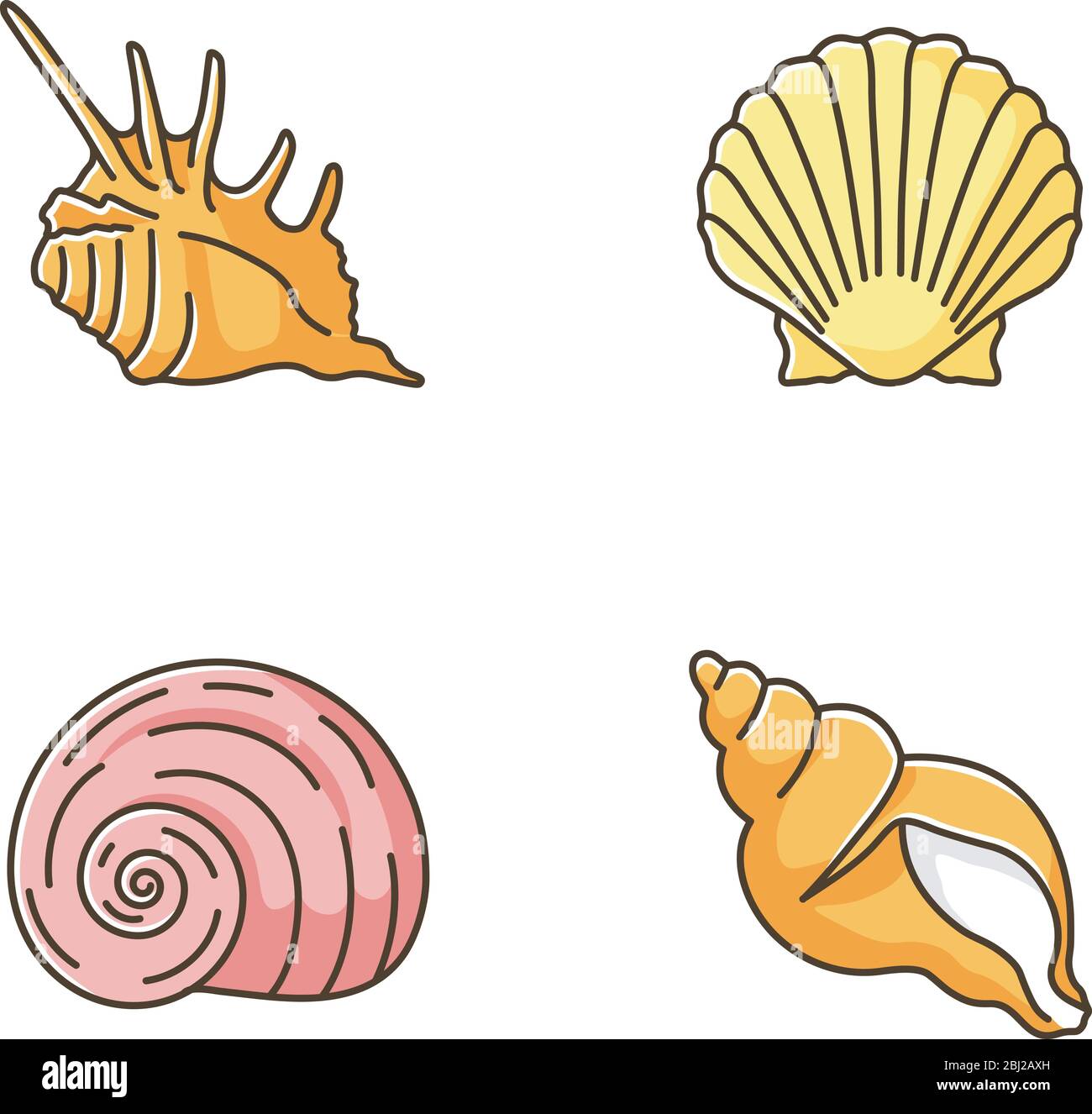 Exotic sea shells RGB color icons set Stock Vector Image & Art - Alamy