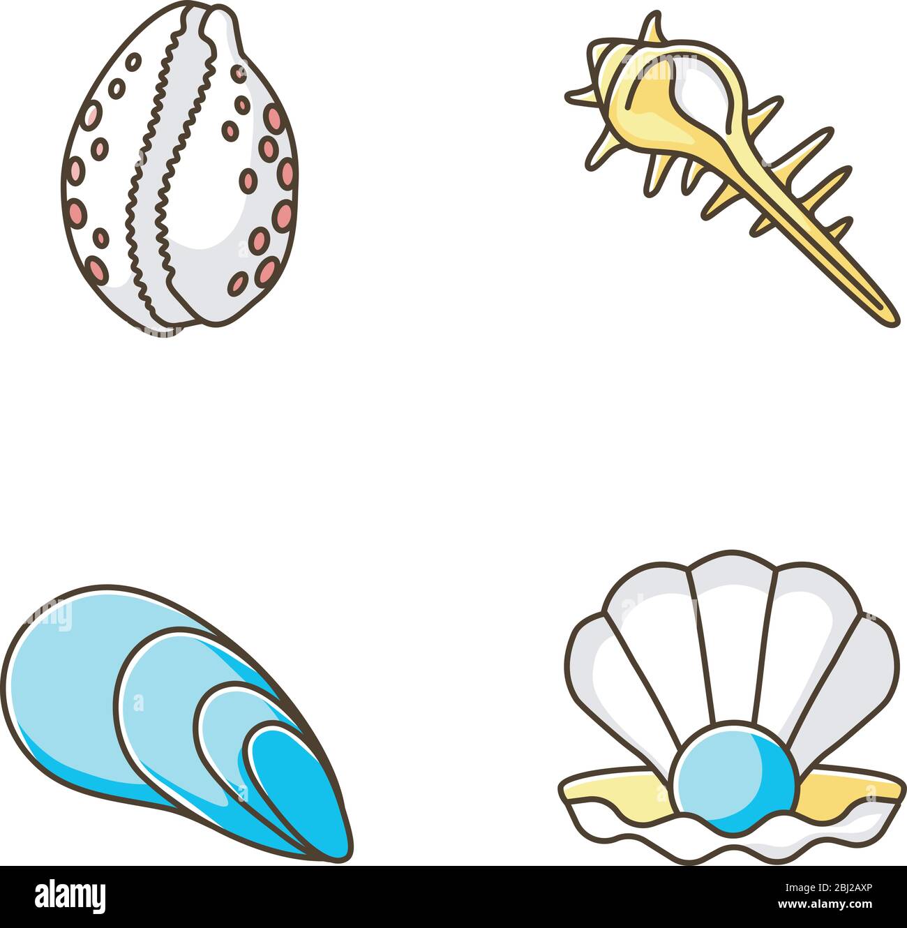 Different sea shells RGB color icons set Stock Vector Image & Art - Alamy