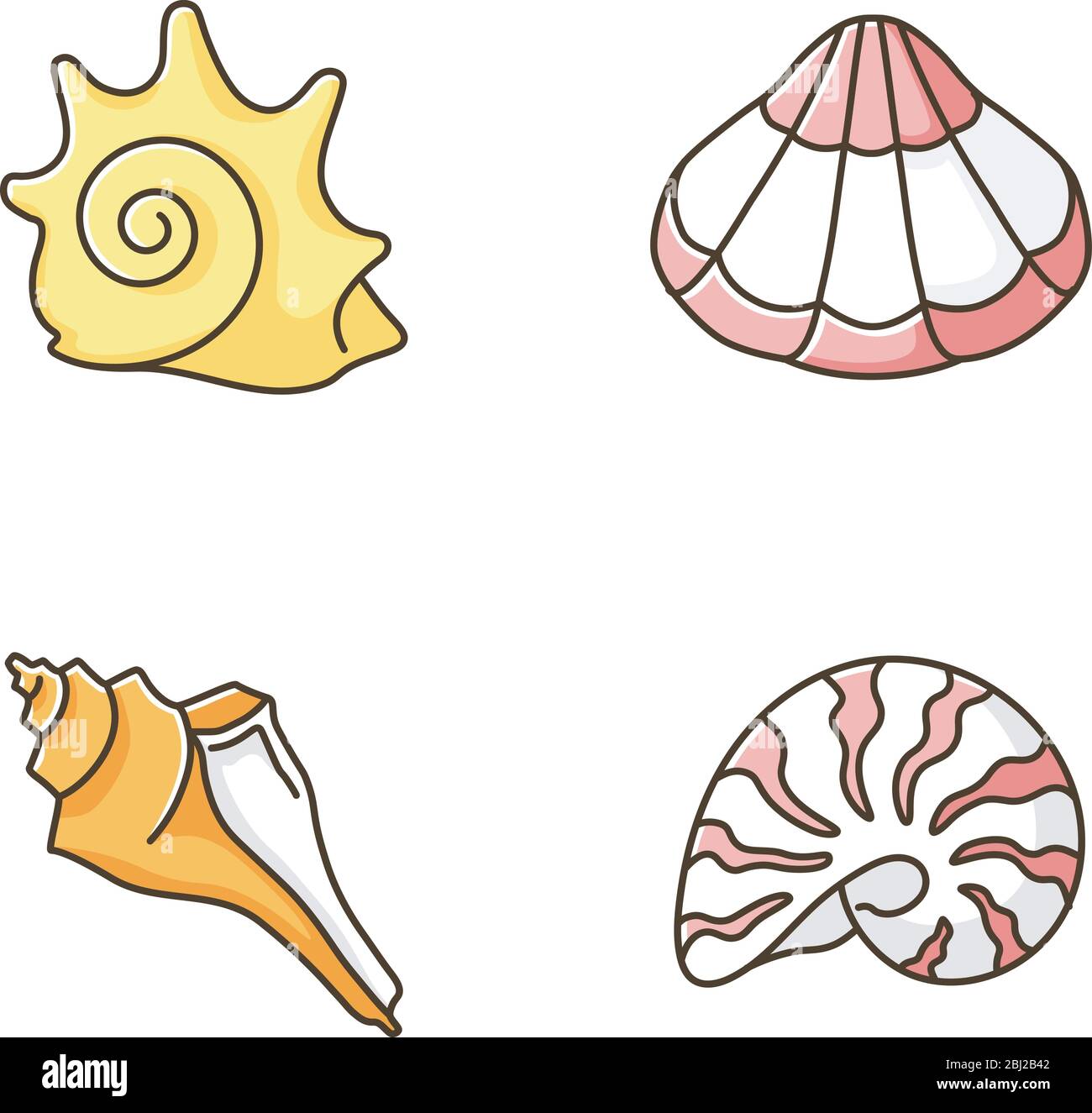 Various seashells RGB color icons set Stock Vector Image & Art - Alamy