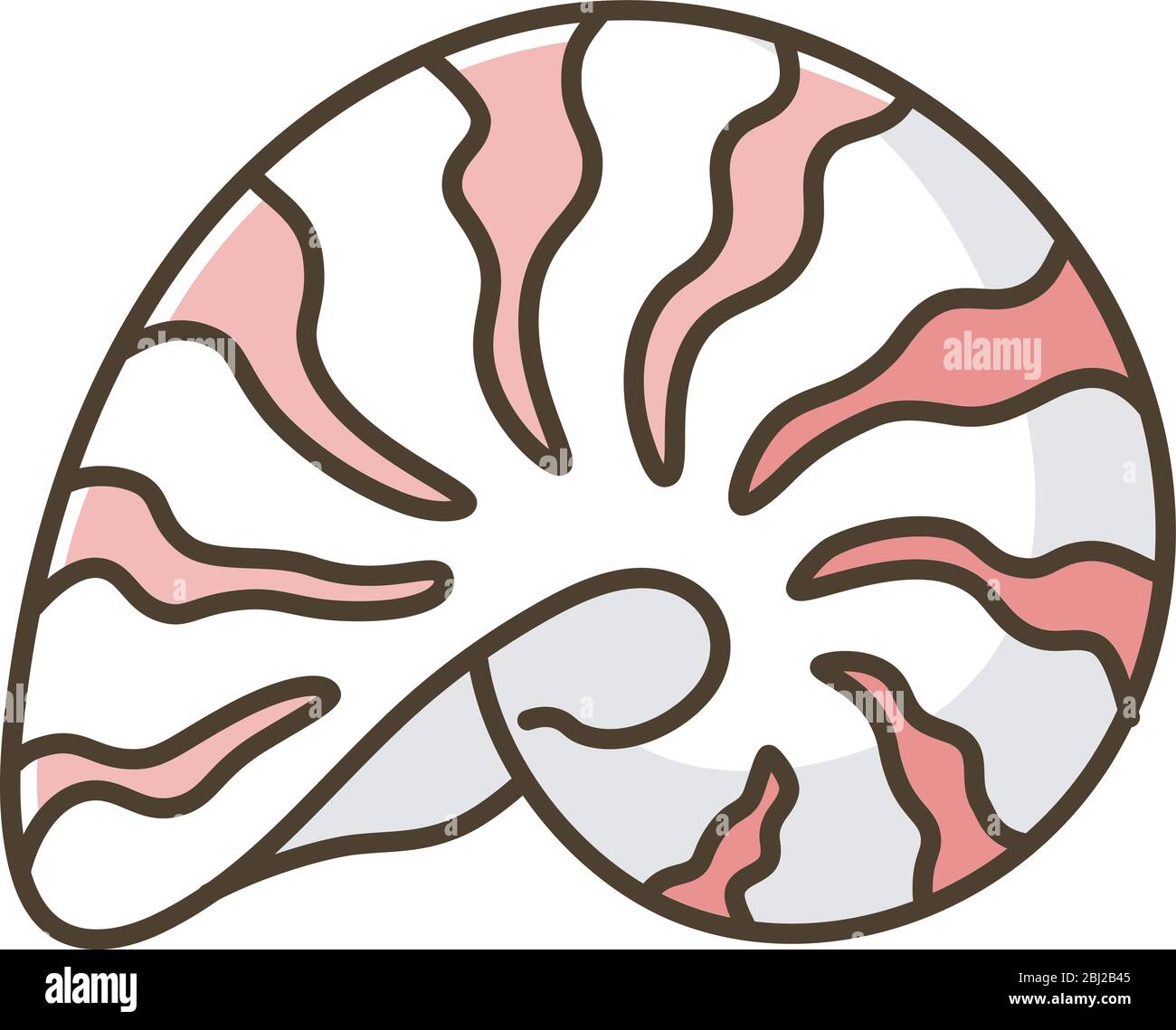 Moonshell RGB color icon Stock Vector Image & Art - Alamy