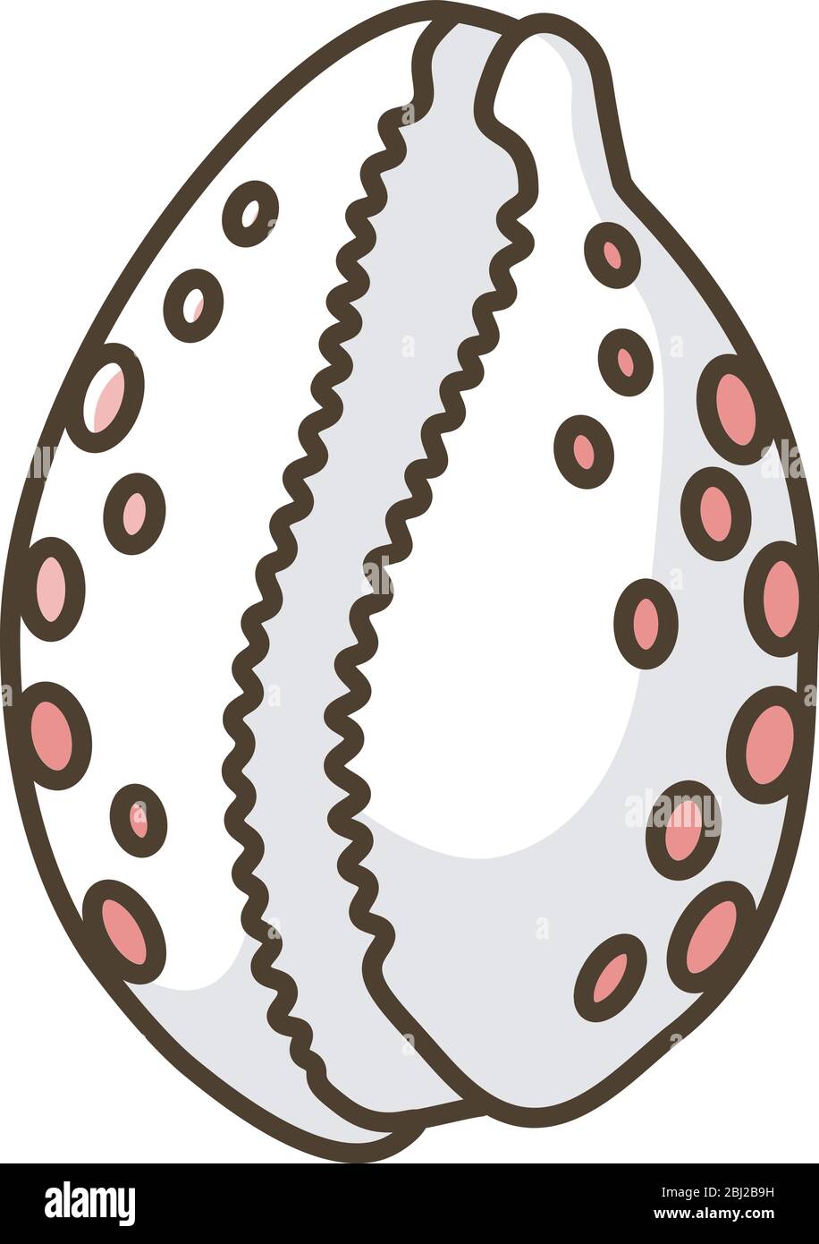 Cowrie shell RGB color icon Stock Vector Image & Art - Alamy