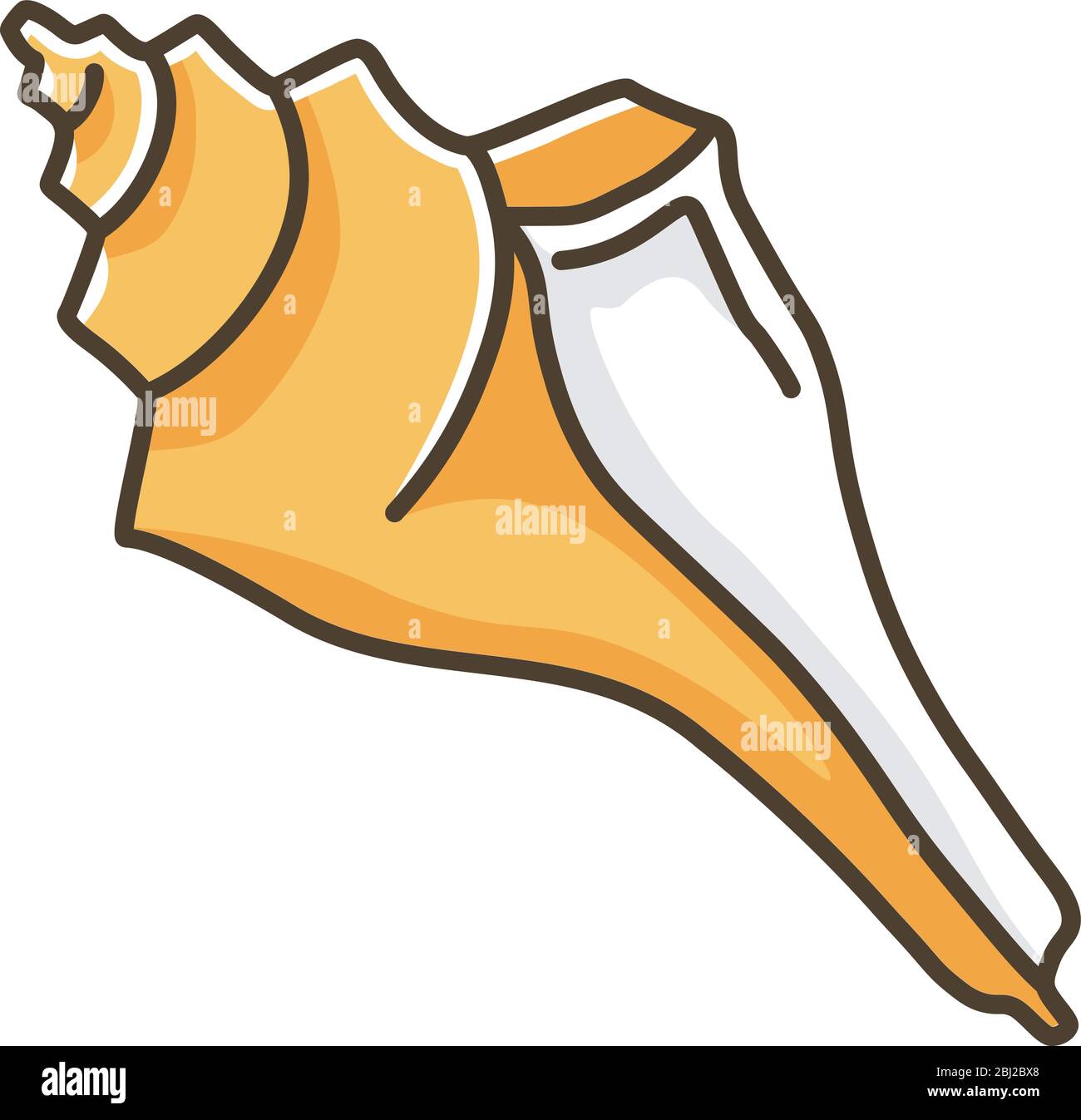 Triton trumpet shell Stock Vector Images - Alamy