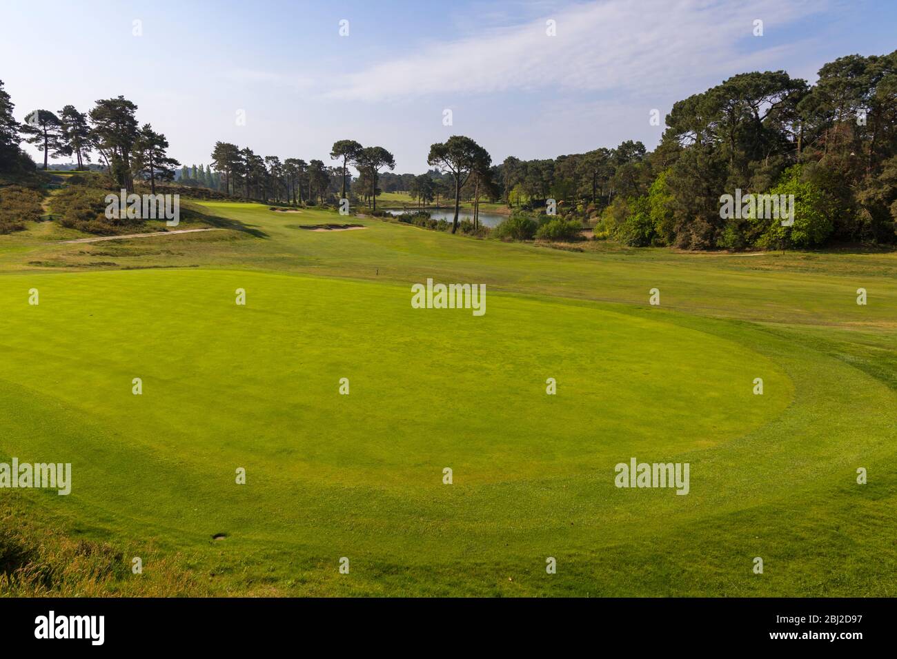 golf course at Dorset, UK in April Stock Photo - Alamy