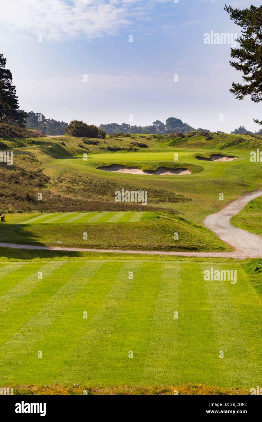 golf course at Dorset, UK in April Stock Photo - Alamy