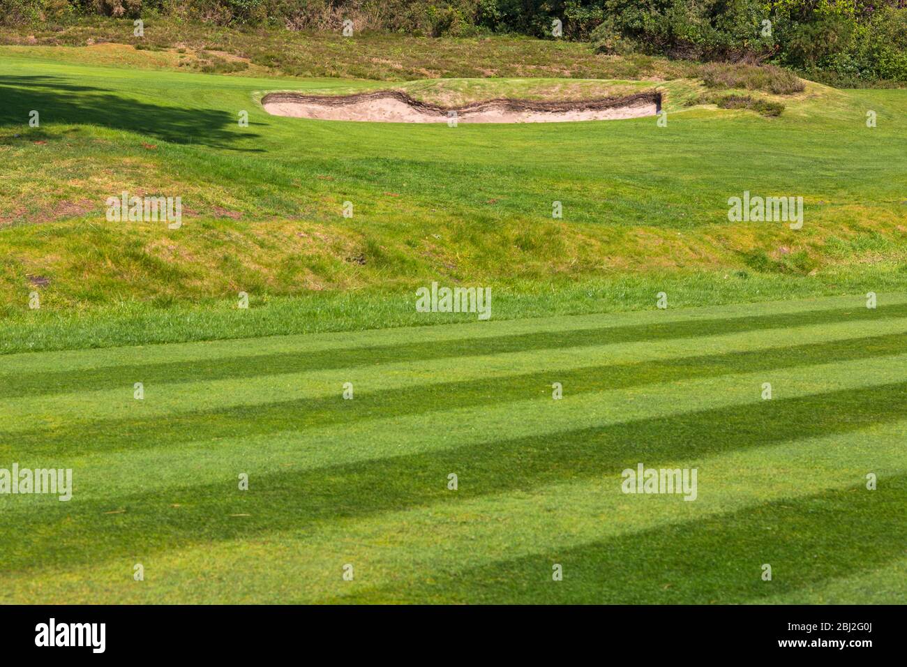 golf course at Dorset, UK in April Stock Photo - Alamy