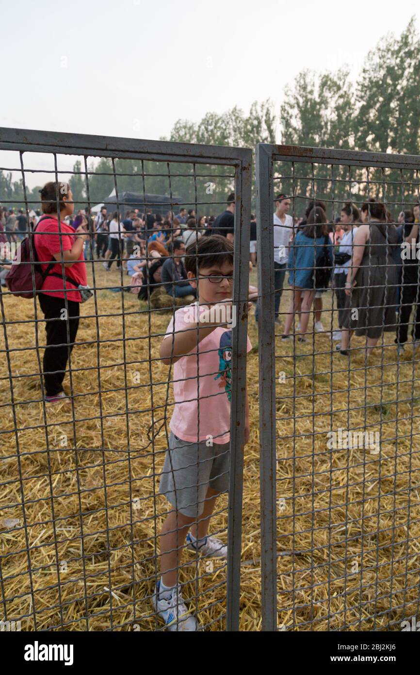 Audience with hands raised at a music festival and lights streaming ...