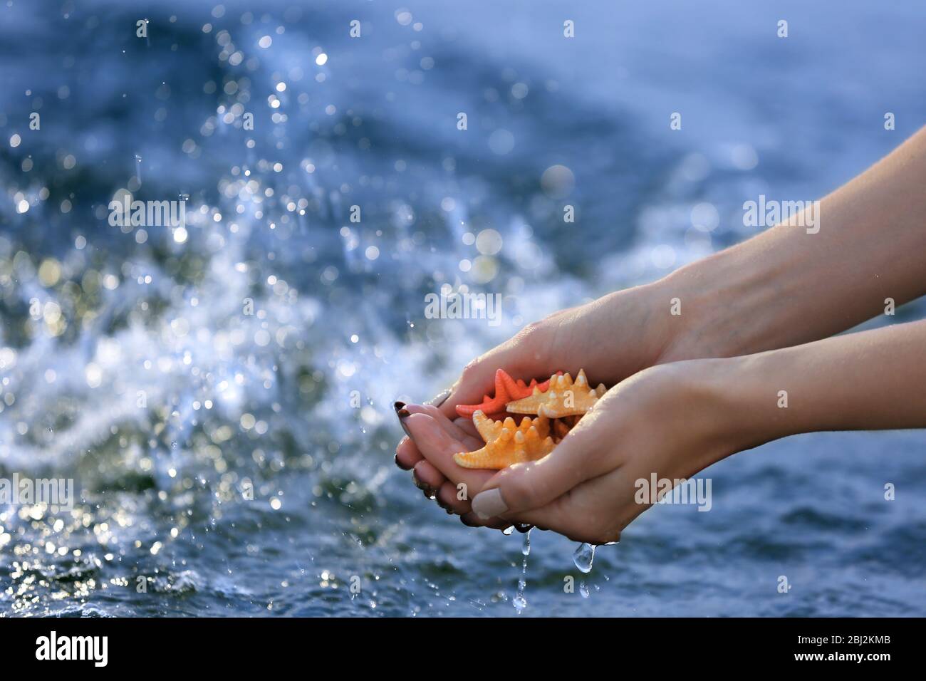 Female hands holding sea stars and touching water Stock Photo - Alamy
