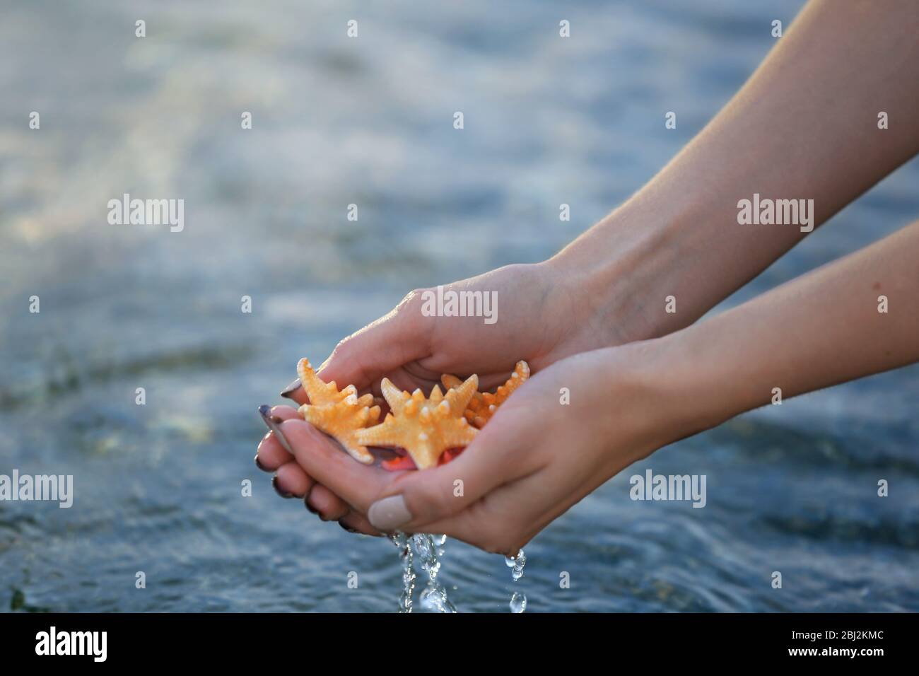 Human hands holding starfish hi-res stock photography and images - Alamy