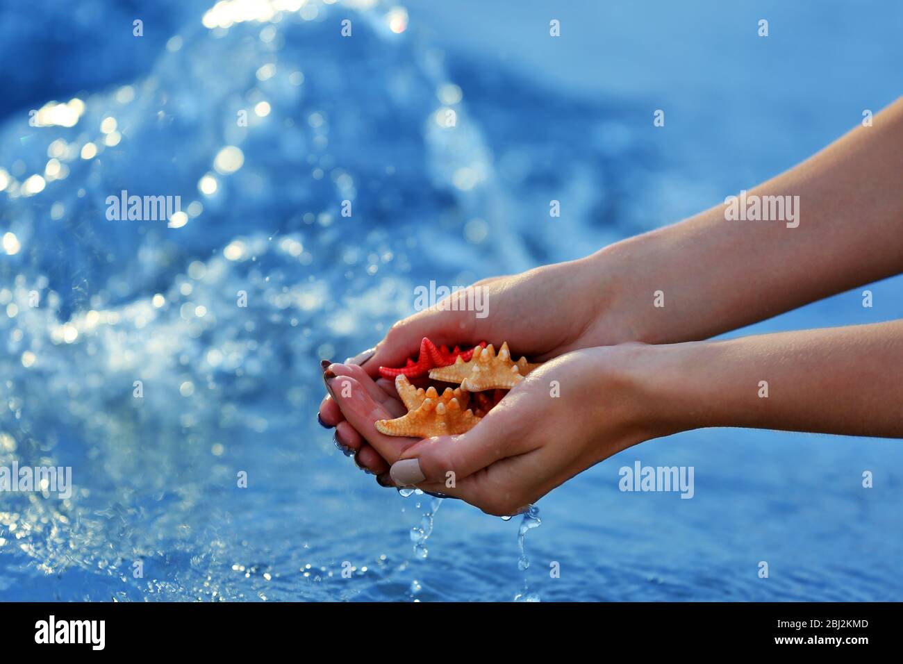 Female hands holding sea stars and touching water Stock Photo - Alamy