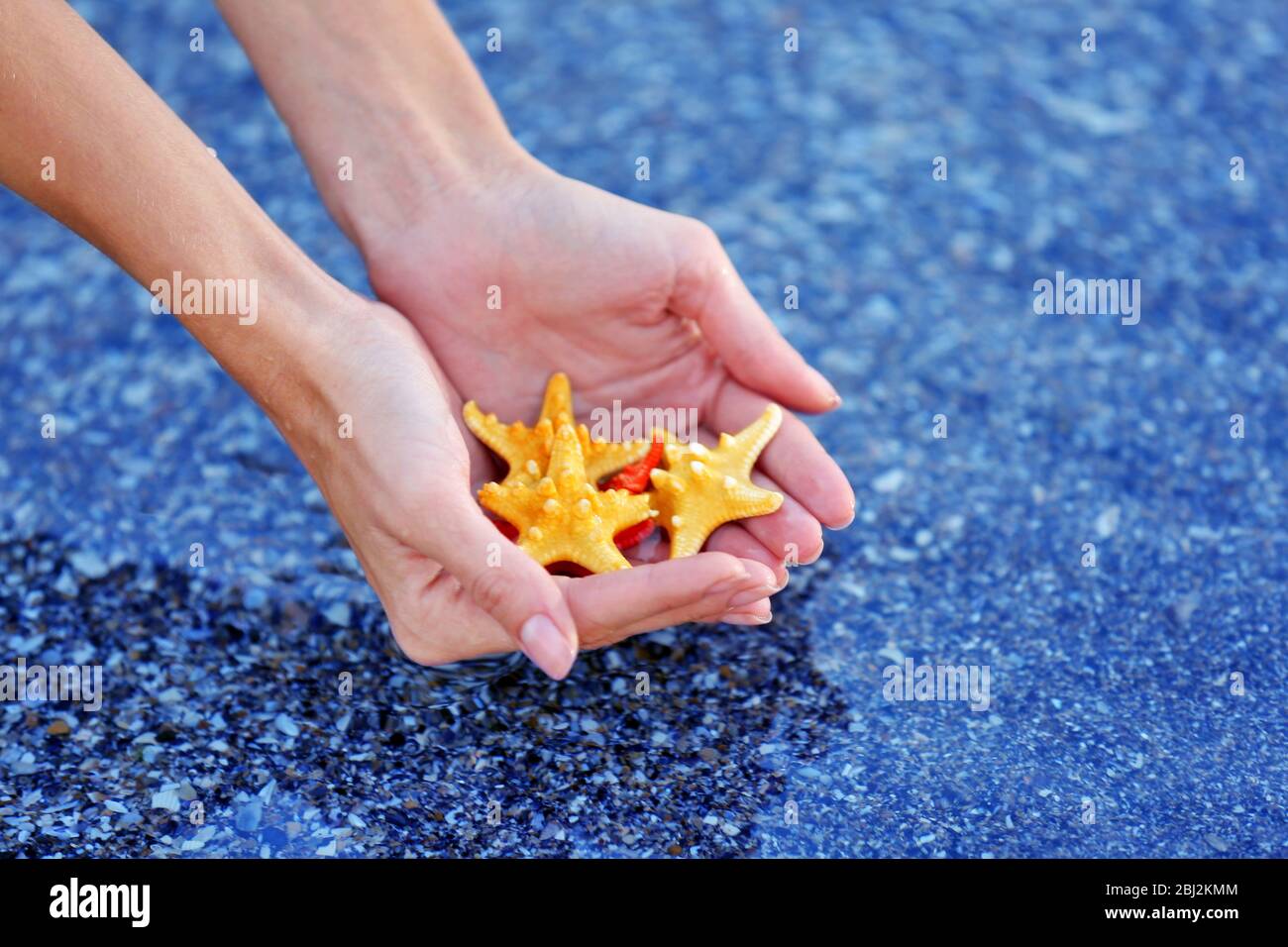 Female hands holding sea stars and touching water Stock Photo - Alamy