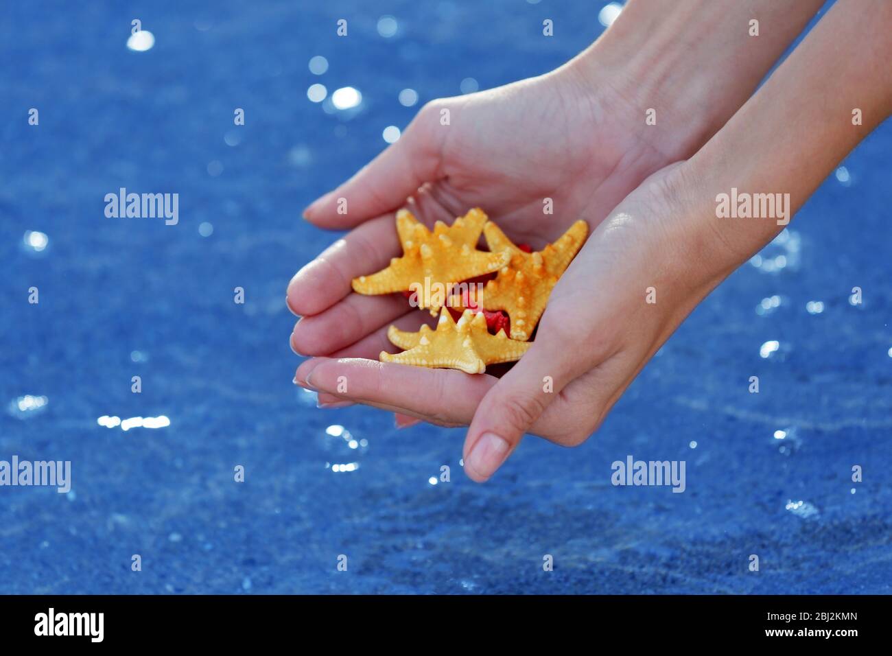 Female hands holding sea stars and touching water Stock Photo - Alamy