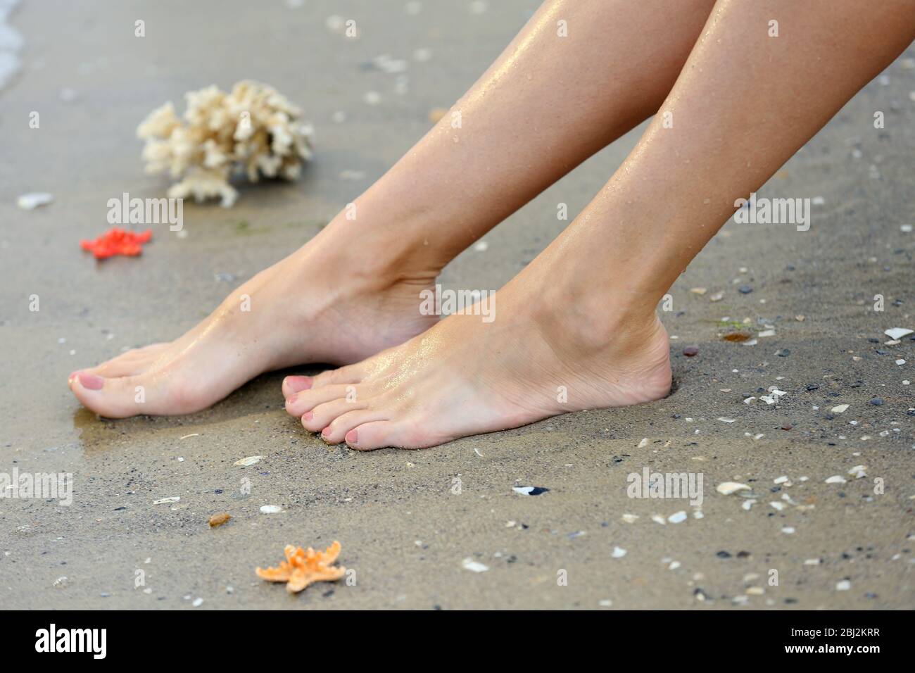 Female legs with shells on sand beach Stock Photo - Alamy
