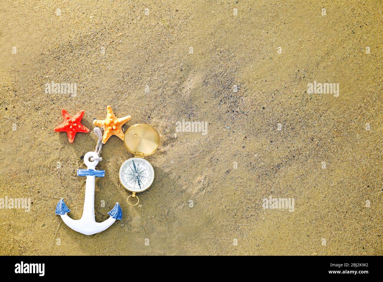 Beautiful sea composition on sand beach background Stock Photo - Alamy